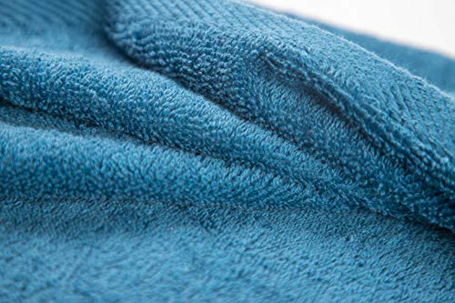 Babiclean Towel Set Absorbent Light Weight and Fast Dry Washcloth Quick Dry Bathroom Hand Towels Durable for Hotel, Spa, Salon and Gym (Hand Towel, Blue)