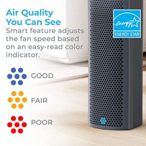 Pure Enrichment® PureZone™ Elite True HEPA Large Room Tower Air Purifier with Air Quality Monitor, 4 Stage Filtration and UV-C Light, Helps Destroy Bacteria, Smoke, Pollen & Dust (Graphite)