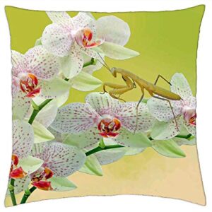 lesgaulest throw pillow cover (16x16 inch) - mantis orchid flower animals insect