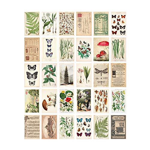 Vintage Collection Postcard Set: Pack of 30 Retro Style Botanical, Nature and Ephemera Postcards by Wintertime Crafts