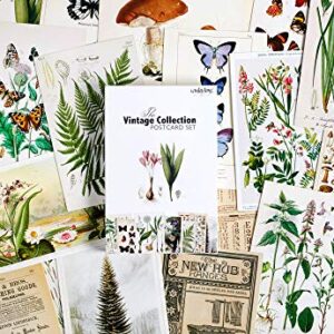 Vintage Collection Postcard Set: Pack of 30 Retro Style Botanical, Nature and Ephemera Postcards by Wintertime Crafts