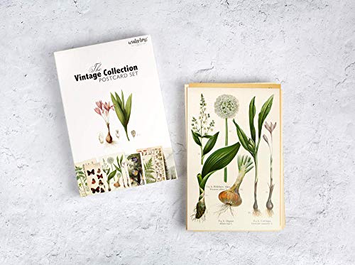 Vintage Collection Postcard Set: Pack of 30 Retro Style Botanical, Nature and Ephemera Postcards by Wintertime Crafts