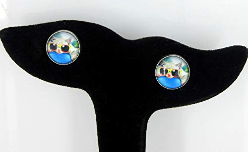 Stainless Steel Cool Cat in Sunglasses Print Glass Stud Earrings 12mm