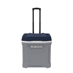 Igloo Maxcold 40-100 Qt Commercially Insulated Coolers