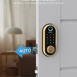 Smart Lock, Fingerprint Smart Deadbolt Lock, 5-in-1 Keyless Entry Door Lock with Bluetooth and Keypad, Door Lock Featuring Auto-Lock, Compatible with Alexa, Google Assistant for Home Hotel Apartment