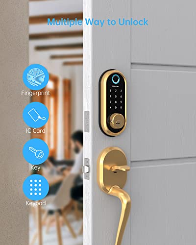 Smart Lock, Fingerprint Smart Deadbolt Lock, 5-in-1 Keyless Entry Door Lock with Bluetooth and Keypad, Door Lock Featuring Auto-Lock, Compatible with Alexa, Google Assistant for Home Hotel Apartment