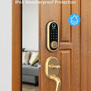 Smart Lock, Fingerprint Smart Deadbolt Lock, 5-in-1 Keyless Entry Door Lock with Bluetooth and Keypad, Door Lock Featuring Auto-Lock, Compatible with Alexa, Google Assistant for Home Hotel Apartment