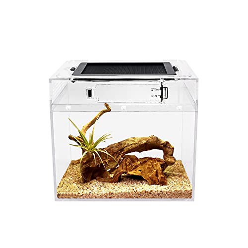 Reptile Growth Mini Reptile Terrarium,8" x 8"x 8" Reptile Tank with Full View Visually Appealing，for Insect，Fish，Tarantula，Hermit Crab，Jumping Spider，Iguana，Tortoise，Leopard Gecko，Frog，Bearded Dragon