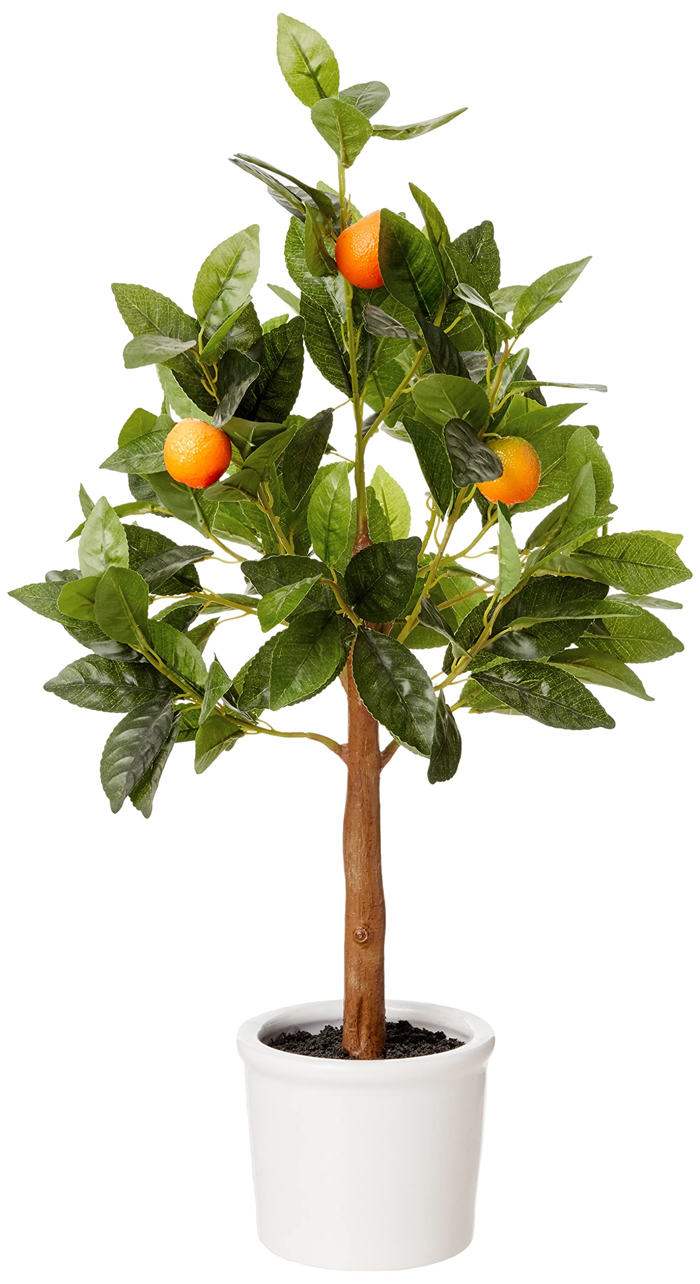 Amazon Brand - Stone & Beam Artificial Orange Citrus Tree with Ceramic Pot, 2 Feet (24 Inches), Indoor