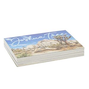 Pipilo Press Vintage California Travel Postcards, 20 Designs Bulk Set (4x6 In, 40 Pack)