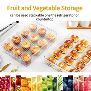 vacane 2 Pack Refrigerator Organizer Bins,Food Storage Container with Lids for Fruit, Vegetables, Bacon Meat Cheese Keeper Marinade Tray, Stackable Freezer Storage Containers