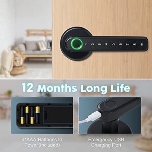 IRONZON Fingerprint Door Lock Door Knob with Keypad Keyless Entry Door Lock with Handle for Home Hotel Office Apartment Bedroom Black(F190)