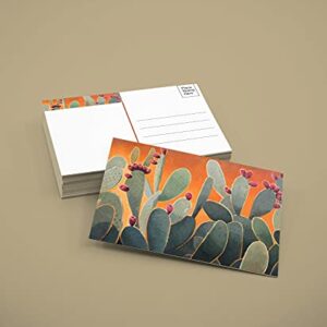 Stonehouse Collection Cactus Postcards - 4 x 6 Western Desert Postcards - 40 Postcards, 4 Different Cacuts Designs