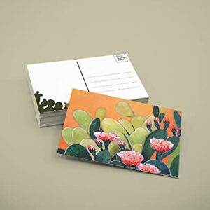 Stonehouse Collection Cactus Postcards - 4 x 6 Western Desert Postcards - 40 Postcards, 4 Different Cacuts Designs