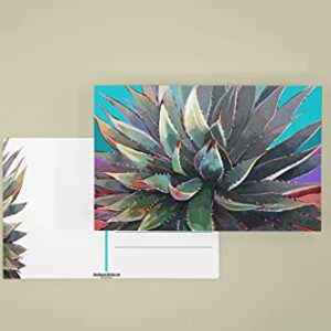 Stonehouse Collection Cactus Postcards - 4 x 6 Western Desert Postcards - 40 Postcards, 4 Different Cacuts Designs