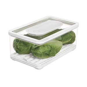 idesign id fresh food storage, large bin