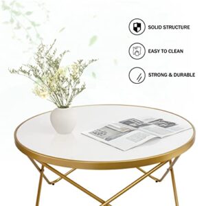 KithKasa Mid Century Modern Round Gold Coffee Table with White Glass and Metal Frame Central Table for Living Room Recepetion Room