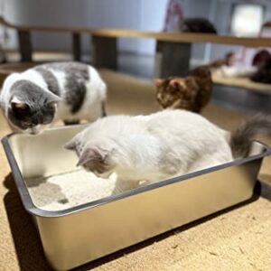 IKITCHEN Stainless Steel Cat Litter Box, Large Metal Litter Box for Cats Rabbits Never Absorbs Odors Anti-Slip Rubber Bottom (Silver, 23.5" x 15.5" x 6")