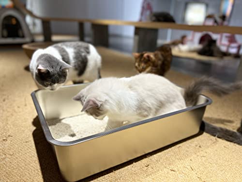 IKITCHEN Stainless Steel Cat Litter Box, Large Metal Litter Box for Cats Rabbits Never Absorbs Odors Anti-Slip Rubber Bottom (Silver, 23.5" x 15.5" x 6")