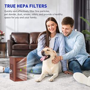 Air Purifiers For Home Large Room Up to 1000 Sq Ft Coverage Wooden Air Purifiers For Bedroom, H13 True Hepa Filter Remove 99.97% of Pet Dander, Wildfire Smoke, Dust, Ultra-Quiet (Walnut)