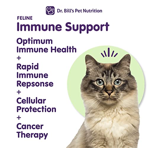 Dr. Bill’s Feline Immune Support | Immune Support for Cats | Colostrum for Cats | Pet Supplement | Includes Beta Glucan, Lactoferrin, Colostrum, Zinc, Coenzyme Q-10, and Bifidobacterium