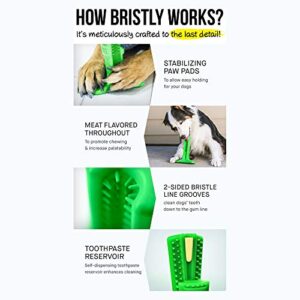 Bristly Dog Toothbrush SM