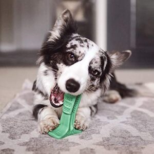 Bristly Dog Toothbrush SM