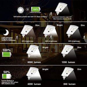 TENKOO Solar Street Lights Outdoor Dusk to Dawn Motion/Light Sensor IP65 Waterproof 6000K Cool White Solar Powered Flood Light for Parking Lot Stadium Garden Pathway