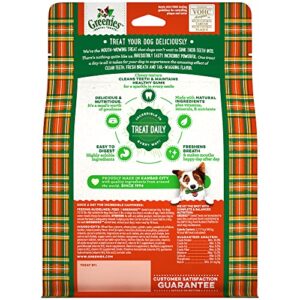 GREENIES Regular Natural Dog Dental Care Chews Oral Health Dog Treats, Pumpkin Spice Flavor, 12 oz. (12 Treats)