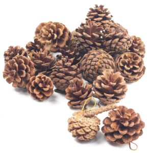 johouse natural pine cones, christmas rustic pinecones fall garland halloween thanksgiving decorations, christmas tree fall ornaments,18 pcs