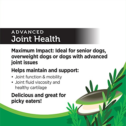 Solid Gold Hip and Joint Supplement for Dogs - Glucosamine Chondroitin MSM for Advanced Joint & Mobility Support - Omega 3 Fish Oil Antioxidant & Immune Health Support - 120 Soft Chews