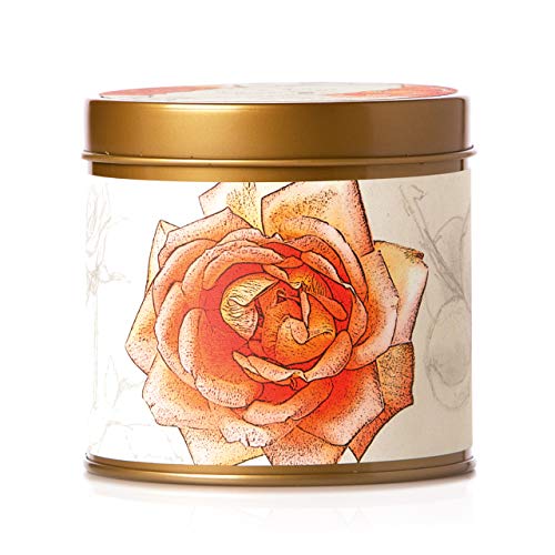 Rosy Rings Signature Tin Candle - Aromatherapy Fragrance Elegant Home Decor Gift Long Lasting 50 Hour Burn Botanical Floral Notes of Apricot, Blond Woods, Mirabelle Plum, Pomelo, Violet (Apricot Rose)