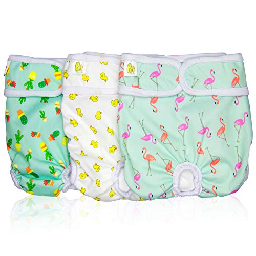 Pet Magasin Reusable Washable Dog Diapers (Pack of 3), Highly Absorbent with Strong & Flexible Velcro (Trending, Large (16”-24” Waist))