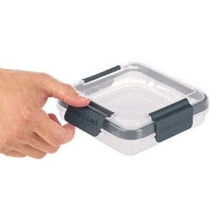 SnapLock by Progressive Sandwich To-Go Container - Gray, Easy-To-Open, Leak-Proof Silicone Seal, Snap-Off Lid, Stackable, BPA FREE