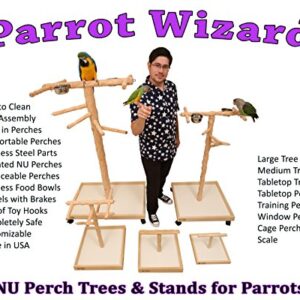 Large NU Perch Parrot Climbing Tree