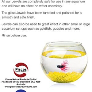 Pisces Gold Betta Jewels 17oz for Siamese Fighting Fish, Betta Fish, Goldfish, Guppies