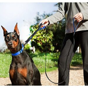 Heavy Duty Dog Leash - 2 Handles - Padded Traffic Handle for Extra Control, 7ft Long - Perfect Leashes for Medium to Large Dogs