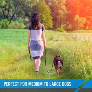 Heavy Duty Dog Leash - 2 Handles - Padded Traffic Handle for Extra Control, 7ft Long - Perfect Leashes for Medium to Large Dogs