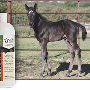 UltraCruz Equine Black Diamond Horse Shampoo, 32 oz