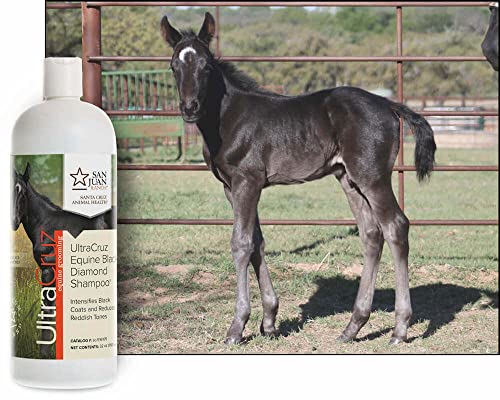 UltraCruz Equine Black Diamond Horse Shampoo, 32 oz