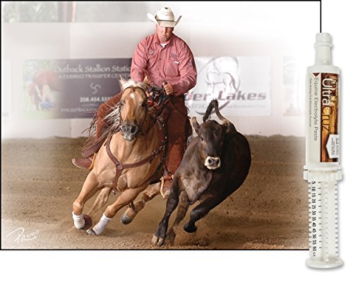 UltraCruz - sc-516042 Equine Electrolyte Supplement for Horses, 6 X 60 ml, Paste