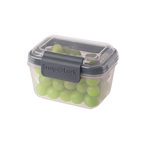 SnapLock by Progressive 2-Cup Storage Container - Gray, Easy-To-Open, Leak-Proof Silicone Seal, Snap-Off Lid, Stackable, BPA FREE