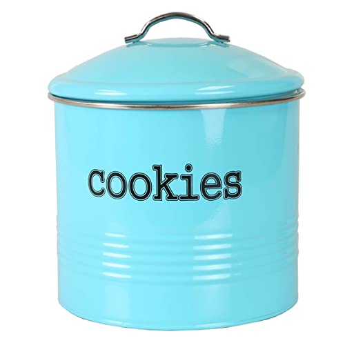 Home Basics 4.2 Liter Large Cookie Jar (Turquoise) Cookie Jars For Kitchen Counter | Cute Cookie Jar With Lid