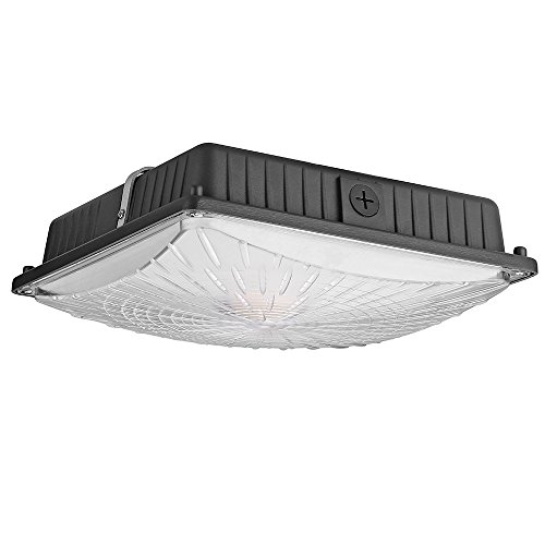 1000LED LED Canopy Light 45W, Ceiling Fixtures 5300LM, Daylight 5000K, 175W HID/HPS Replacement, Waterproof IP65, 10" x 10" Square Ceiling Lights