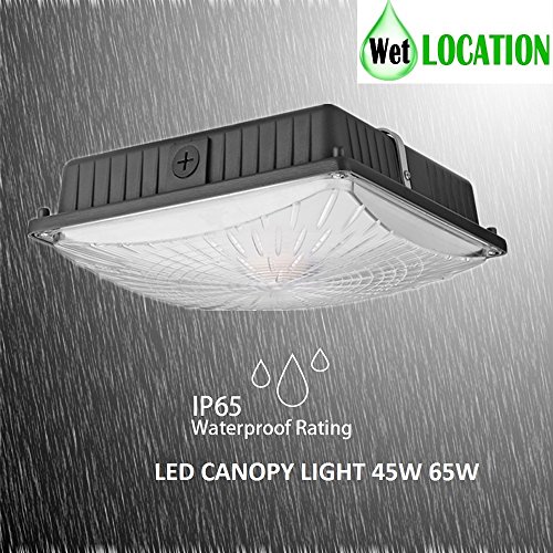 1000LED LED Canopy Light 45W, Ceiling Fixtures 5300LM, Daylight 5000K, 175W HID/HPS Replacement, Waterproof IP65, 10" x 10" Square Ceiling Lights