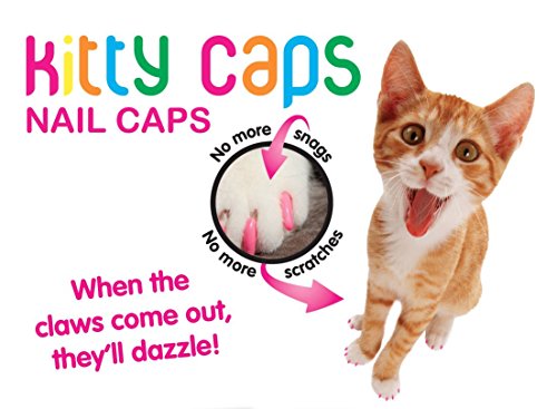 Kitty Caps Nail Caps for Cats | Safe, Stylish & Humane Alternative to Declawing | Covers Cat Claws, Stops Snags and Scratches, Small (6-8 lbs), Hot Purple & Hot Pink