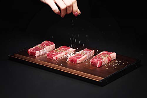 That! Inventions ThawTHAT Deluxe Defrosting Plate, Copper