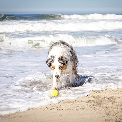 Hyper Pet Dog Ball Launcher, Dog Ball Thrower-Interactive Dog Toys (Load & Launch Tennis Balls for Dogs to Fetch) [Best Dog Ball Launcher for Large & Medium Dogs]