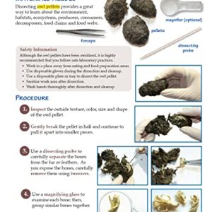 NewPath Learning-14-6715 Owls and Owl Pellet Dissection Resource Guide - Self-Directed Readings, Illustrated Explanations