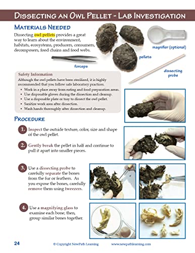 NewPath Learning-14-6715 Owls and Owl Pellet Dissection Resource Guide - Self-Directed Readings, Illustrated Explanations